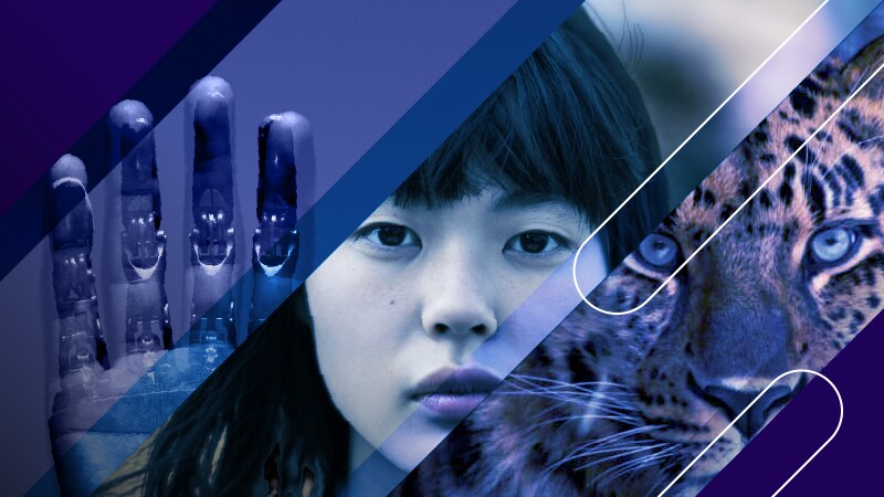 Stronger Together | Program fiataloknak | British Council Magyarország